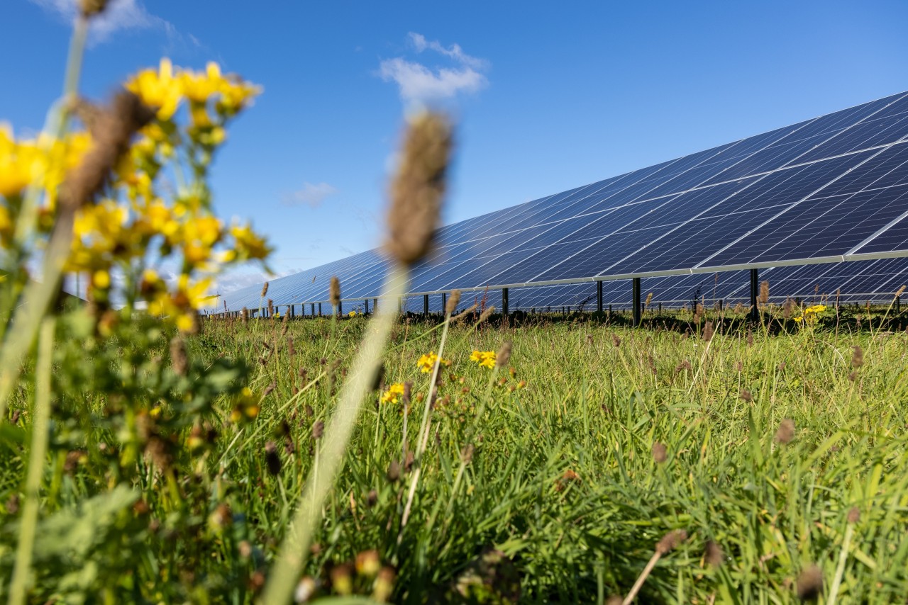 Centrica Energy Assets arm launched as energy major target 650MW of ...