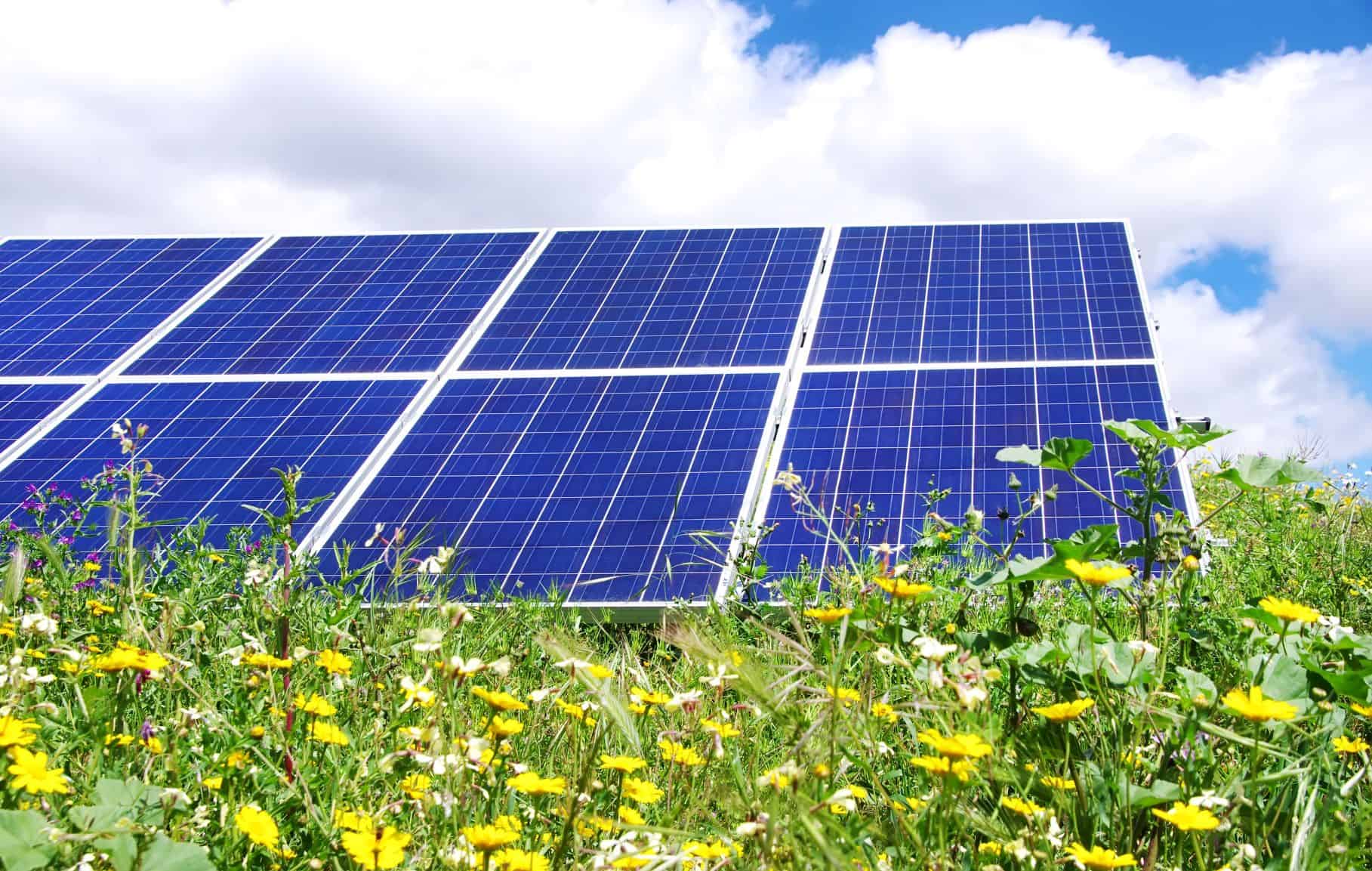 Consultations begin for EDF Renewables Lincolnshire solar farm - San ...